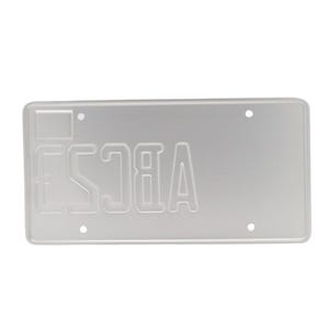 Custom Florida License Plate / Fish Florida License Plate With YOUR ...