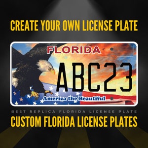 Custom Florida License Plate / America the Beautiful Florida License ...