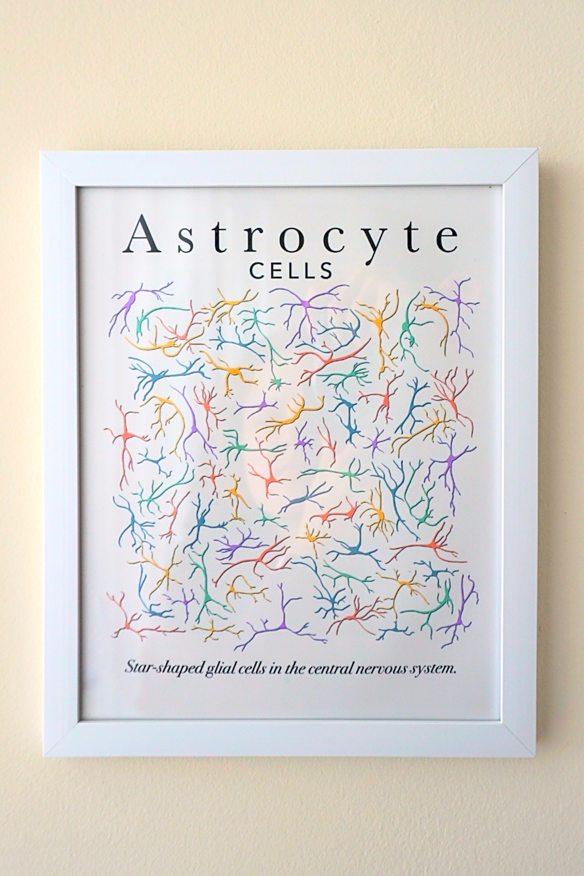 Brain Cell Illustration. Astrocyte Print. Digital Download. Science ...