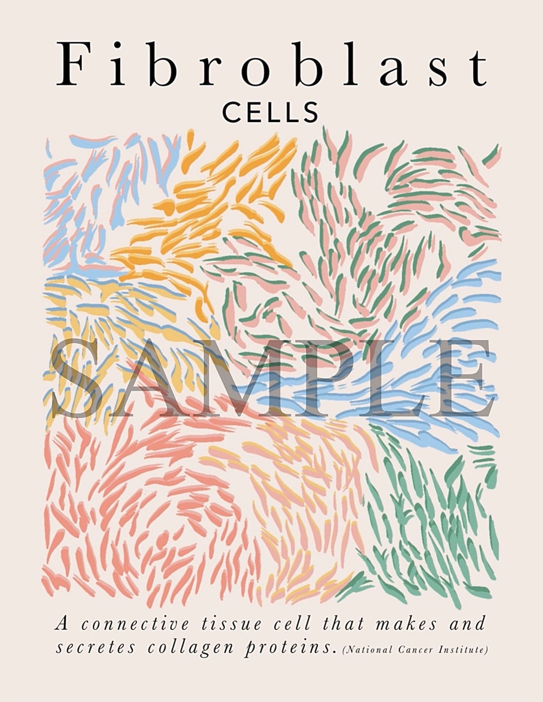 Fibroblast Cell Illustration. Cell Print. Digital Download. Science ...