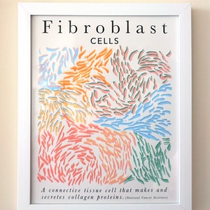Fibroblast Cell Illustration. Cell Print. Digital Download. Science ...