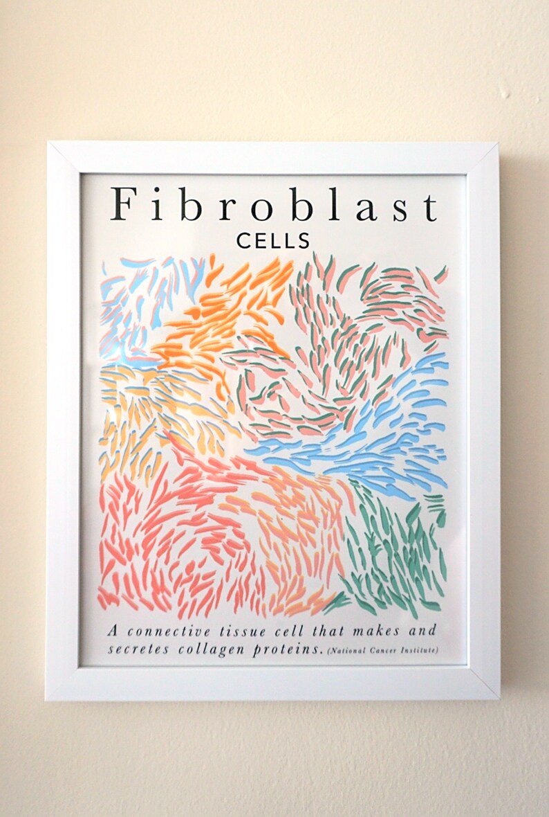 Fibroblast Cell Illustration. Cell Print. Digital Download. Science ...