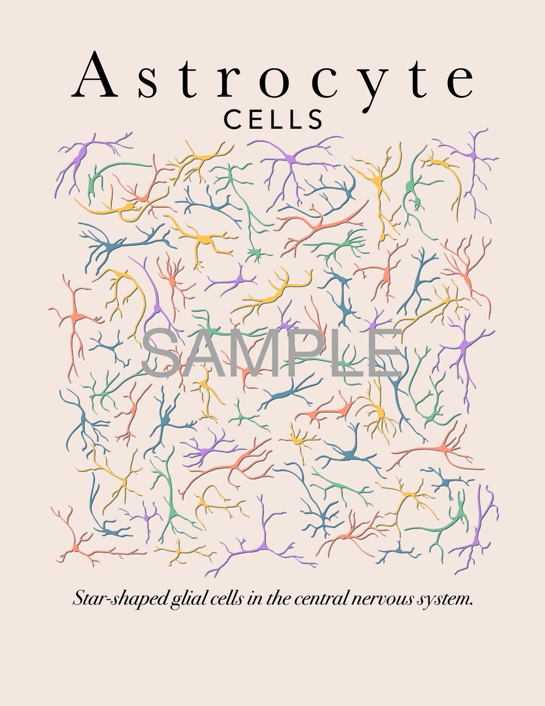 Brain Cell Illustration. Astrocyte Print. Digital Download. Science ...