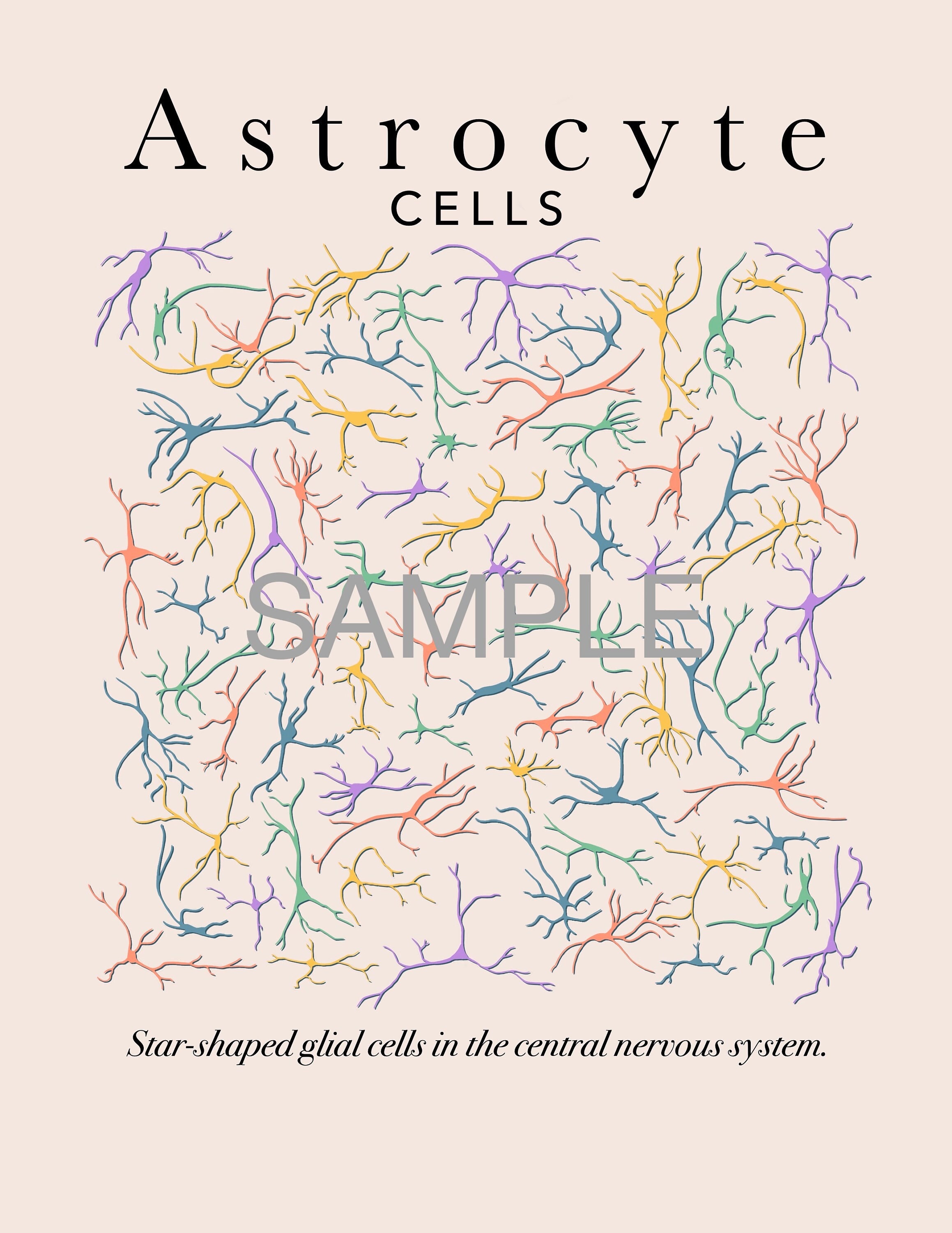 Brain Cell Illustration. Astrocyte Print. Digital Download. Science ...