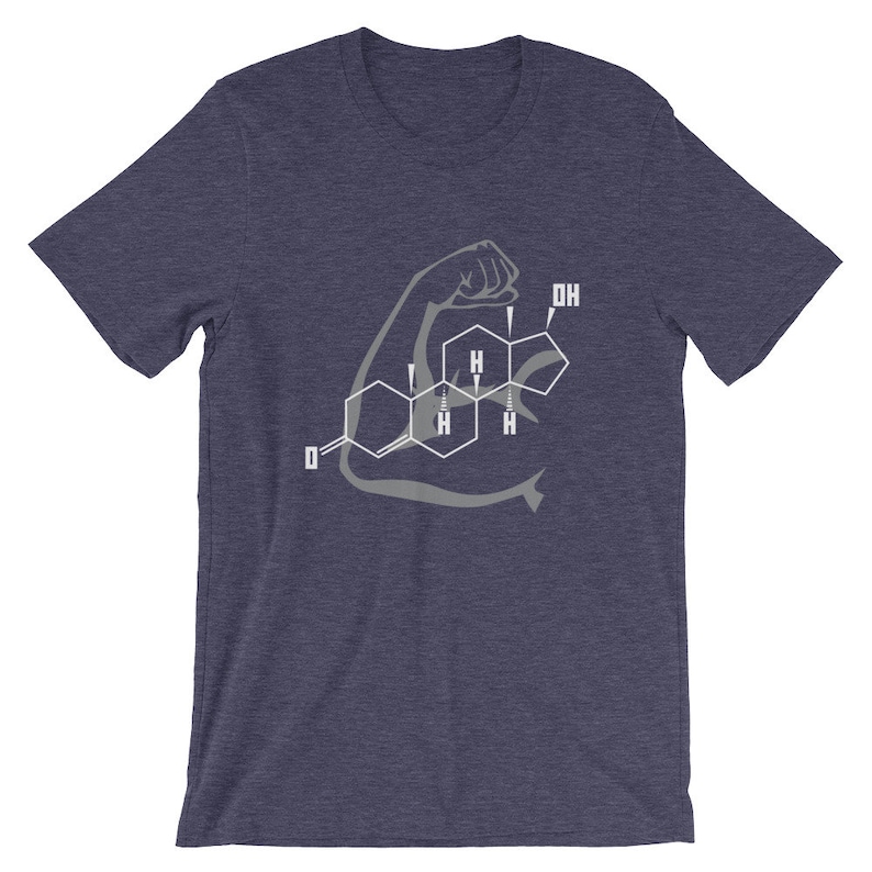 Testosterone Molecule Shirt for Science Nerds | Male Teacher Gift, Gift ...
