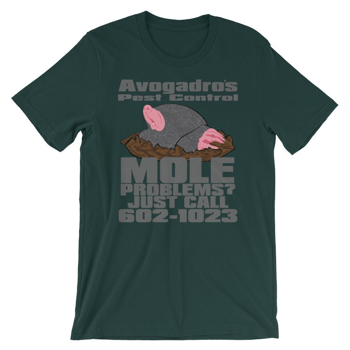 Mole Day Shirt Science Nerd Avogadro's Mole Shirt - Etsy
