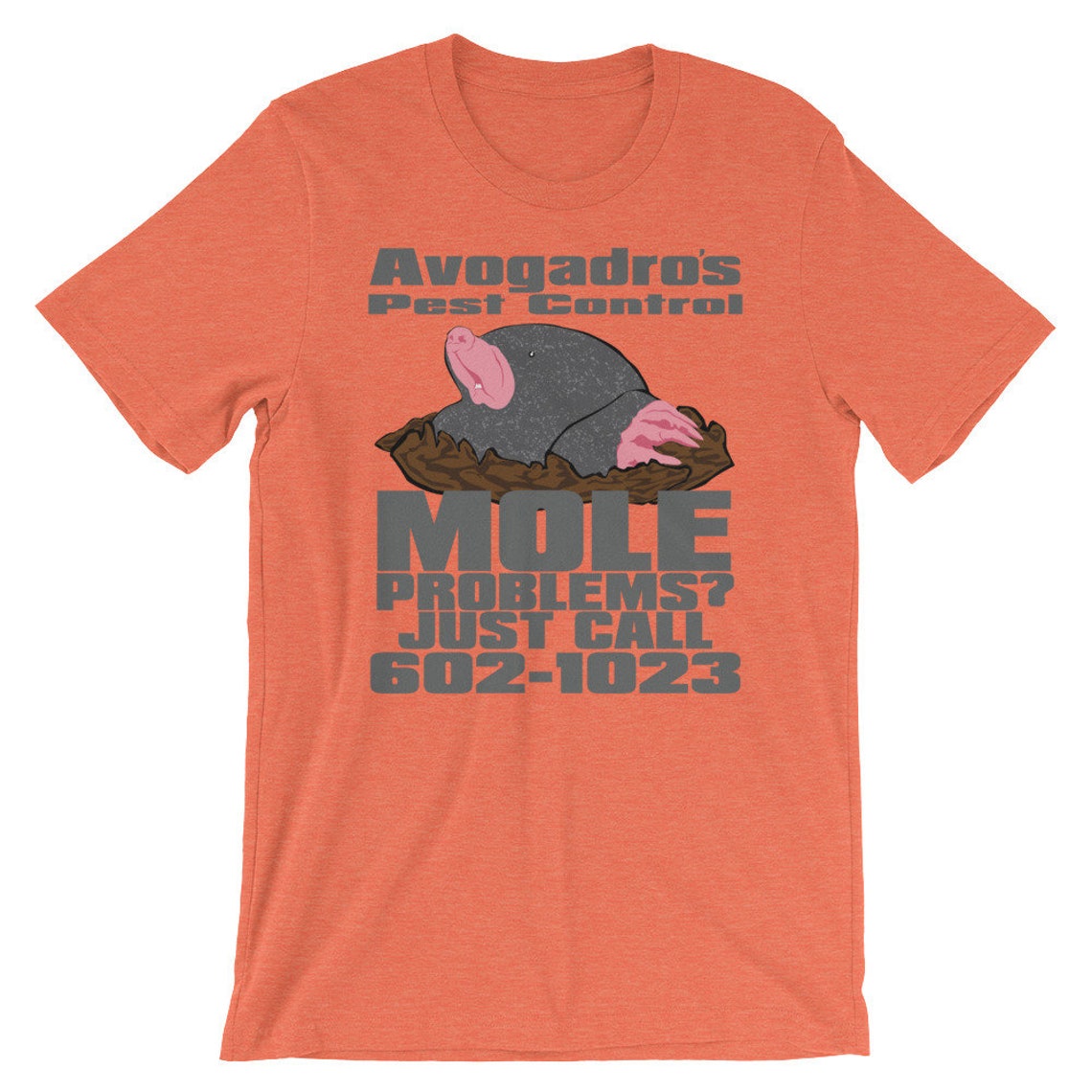 Mole Day Shirt Science Nerd Avogadro's Mole Shirt - Etsy