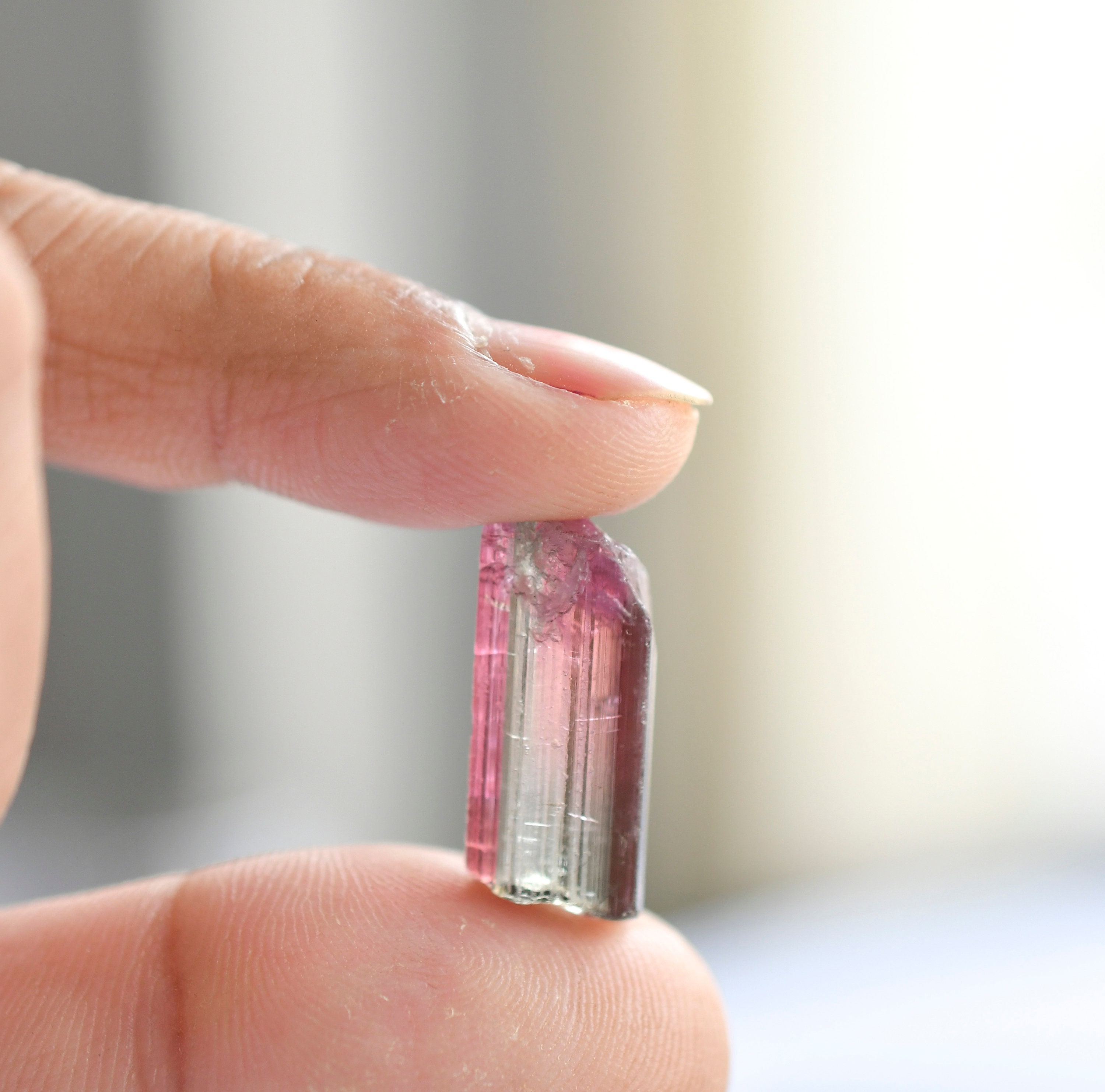 Bicolor Tourmaline Rough Tourmaline rough Raw Tourmaline | Etsy