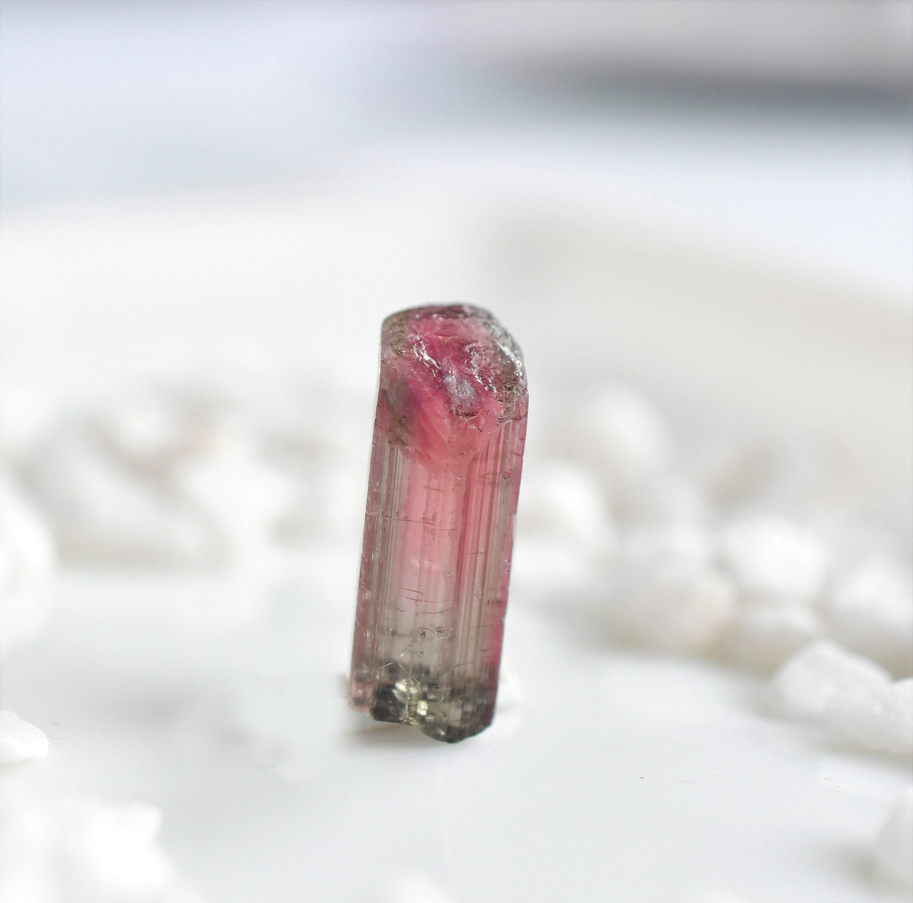 Bicolor Tourmaline Rough Tourmaline rough Raw Tourmaline | Etsy