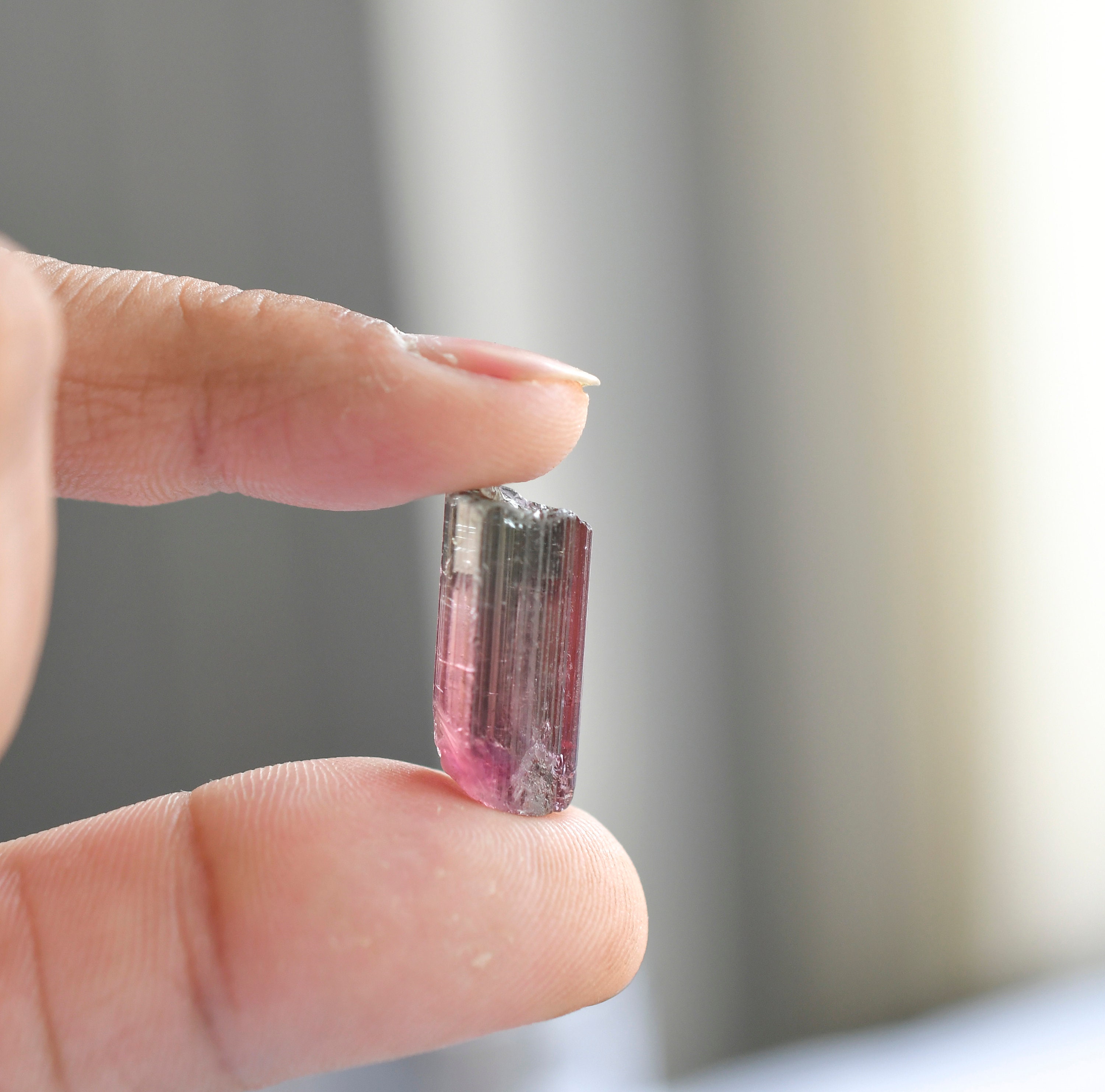 Bicolor Tourmaline Rough Tourmaline rough Raw Tourmaline | Etsy