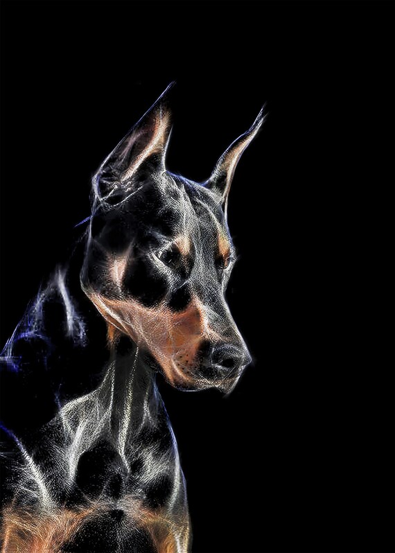 DIGITAL DOWNLOAD Doberman Fractal Art Modern Dog Portrait by | Etsy