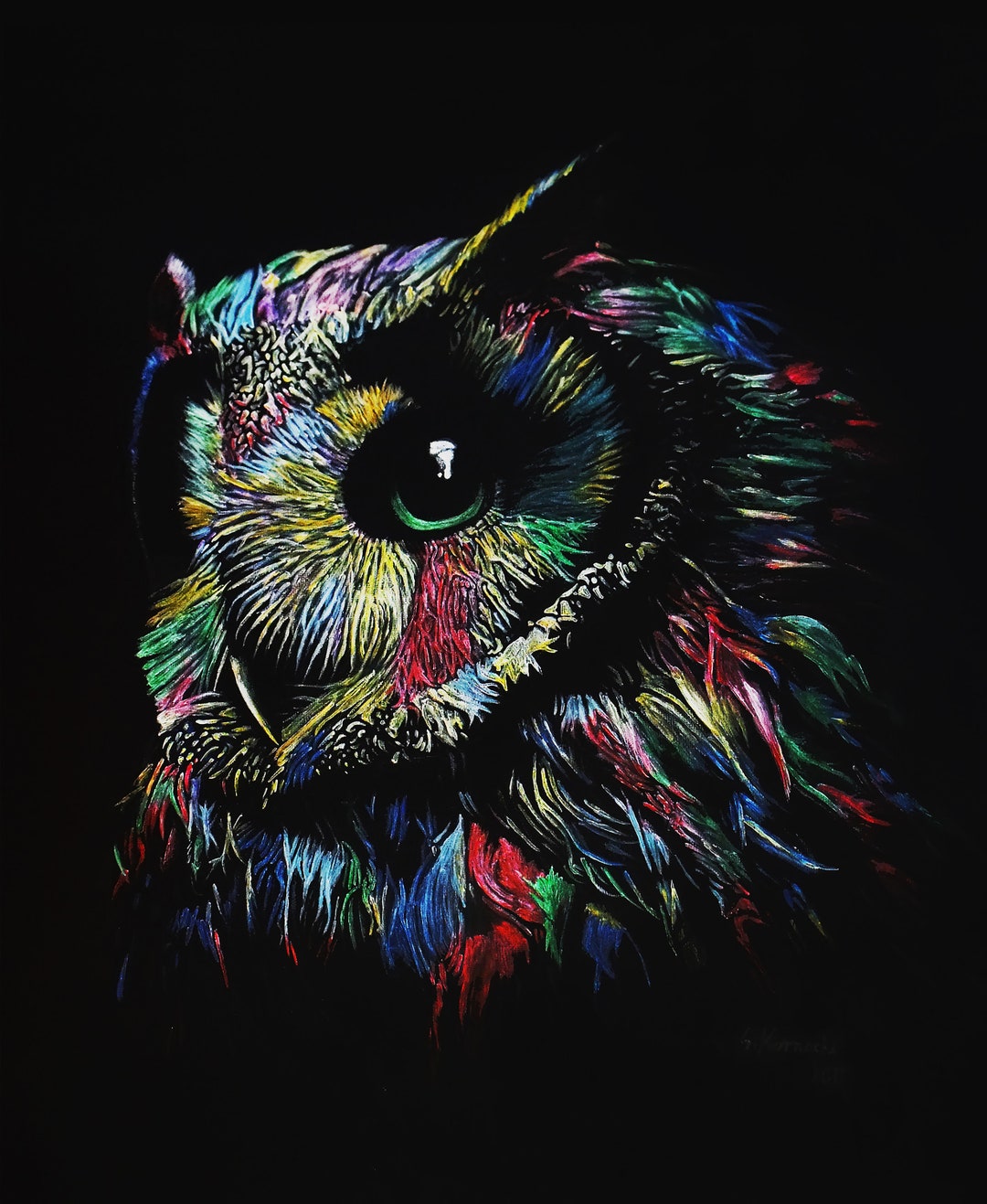 Eule Bunt Print Art Giclee - Etsy.de