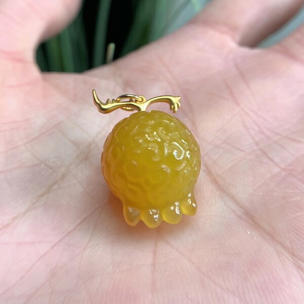 One Piece Devil Fruit Revive Revive No Mi - Etsy