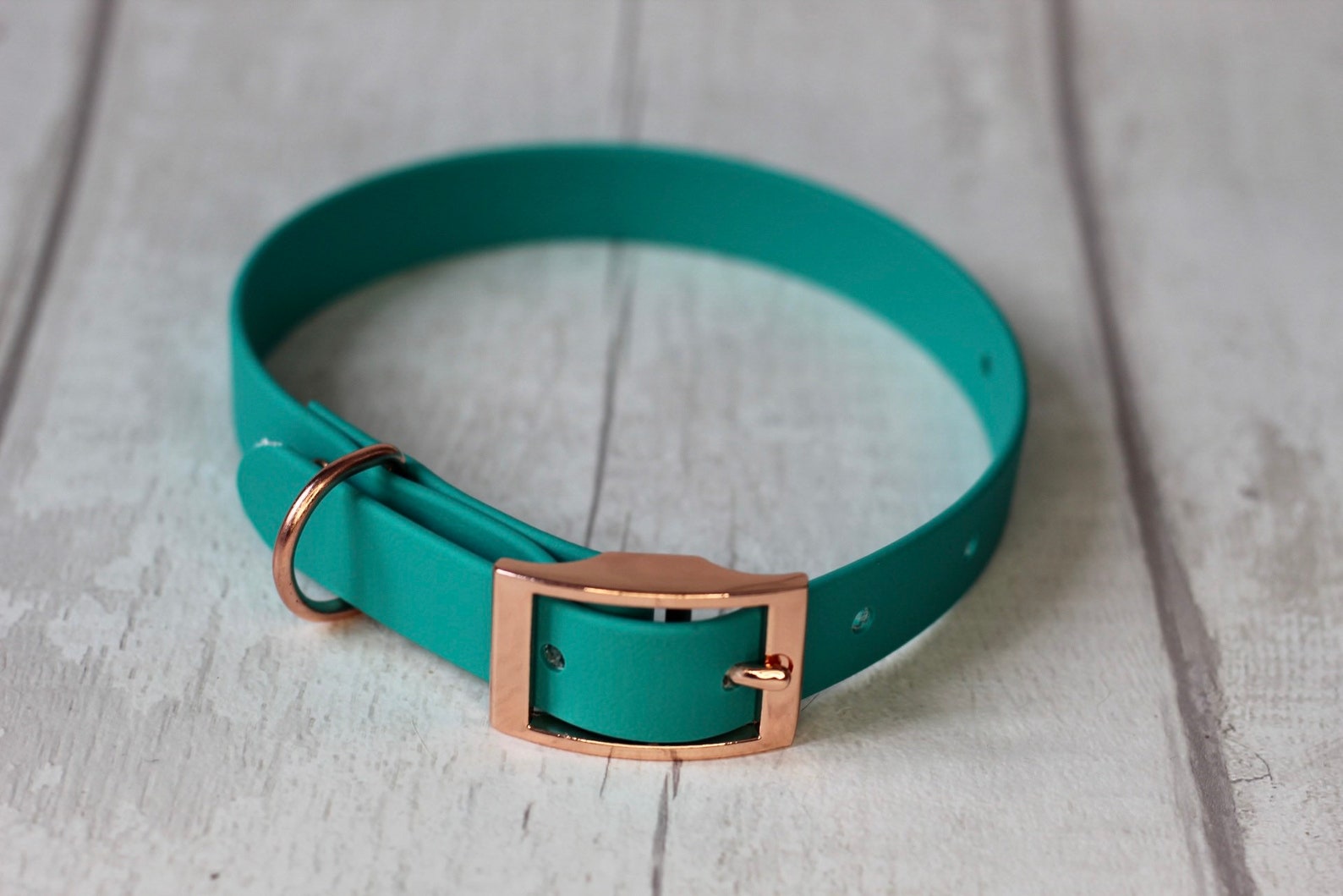 Teal Biothane Waterproof Dog Collar - Etsy UK