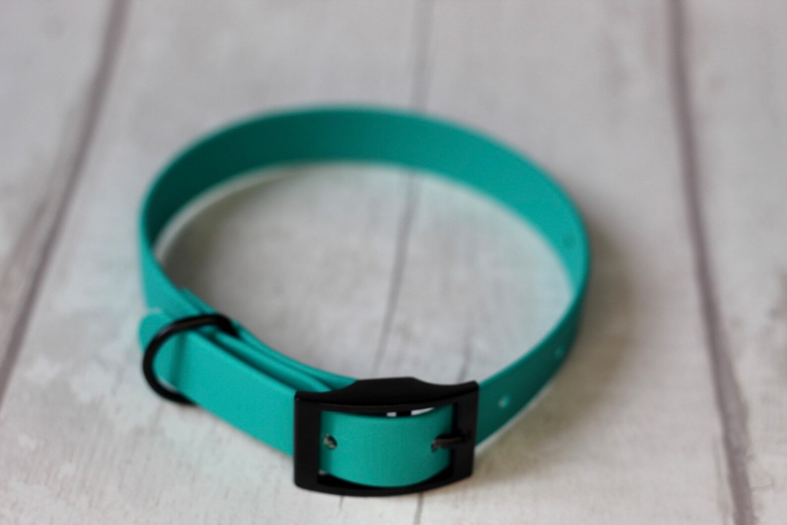 Teal Biothane Waterproof Dog Collar - Etsy UK
