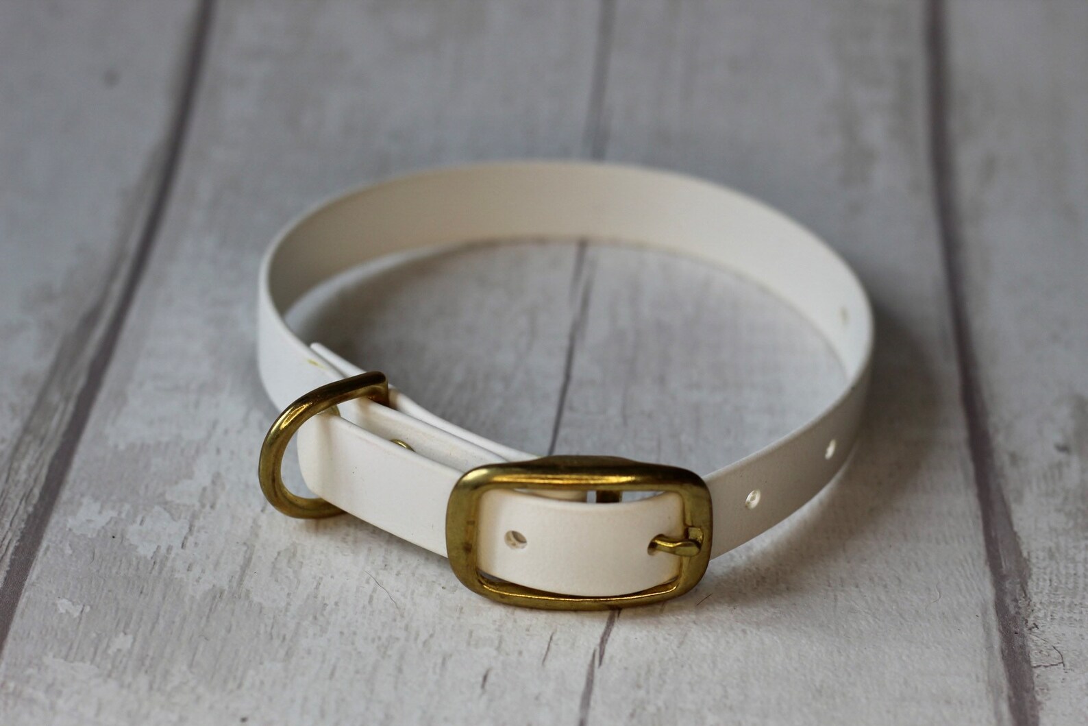 White Biothane Dog Collar - Etsy