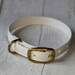 White Biothane Dog Collar - Etsy
