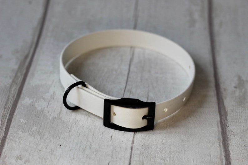 White Biothane Dog Collar - Etsy