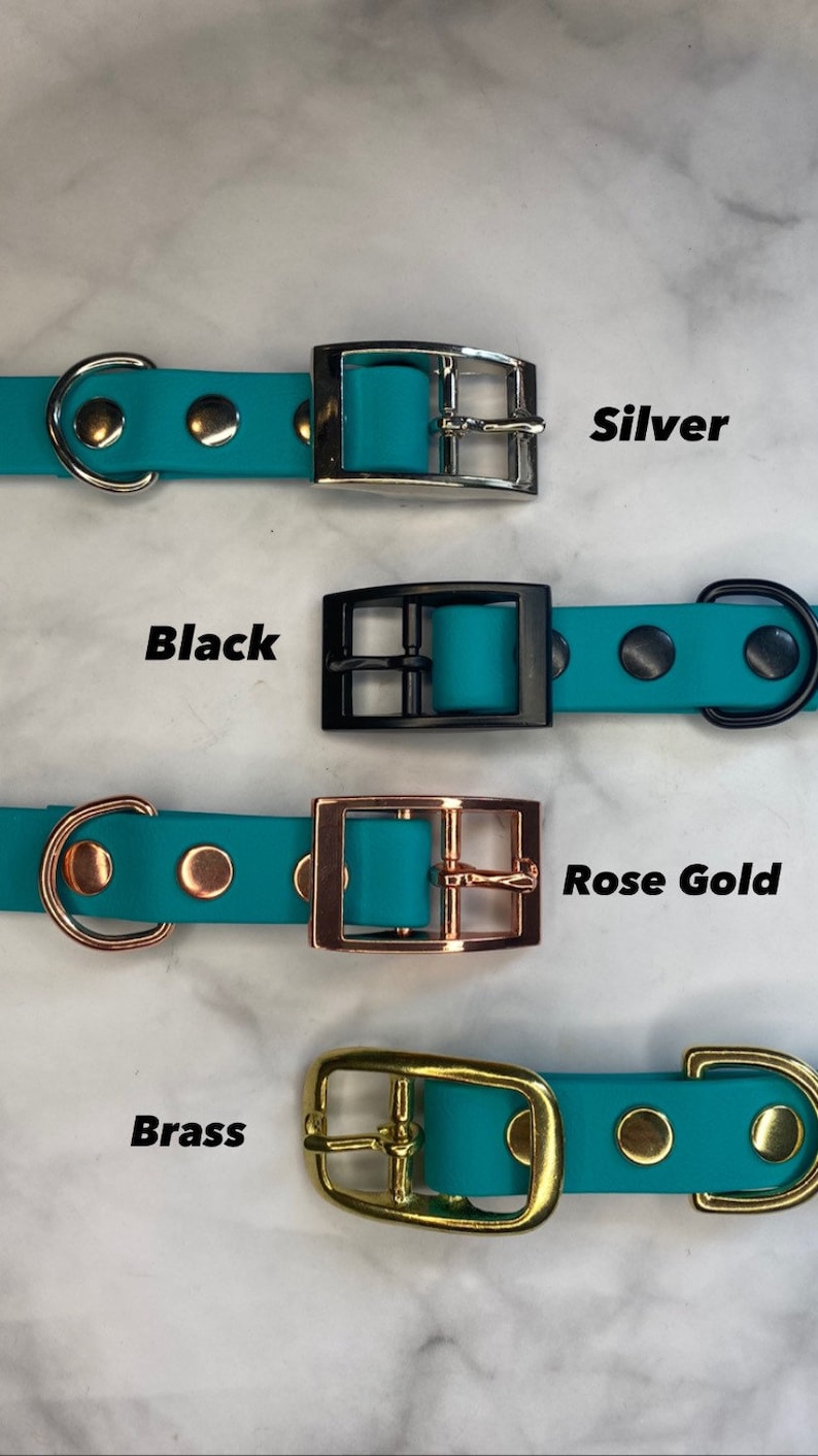 Teal Biothane Waterproof Dog Collar | Etsy UK