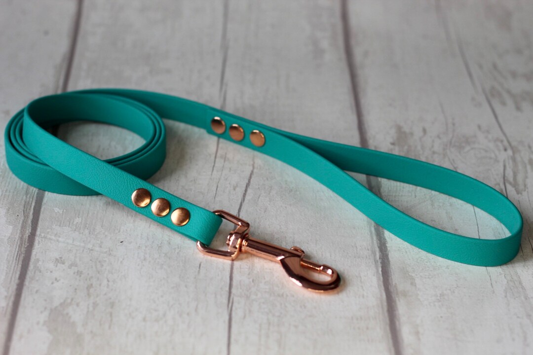Teal Biothane Dog Lead - Etsy