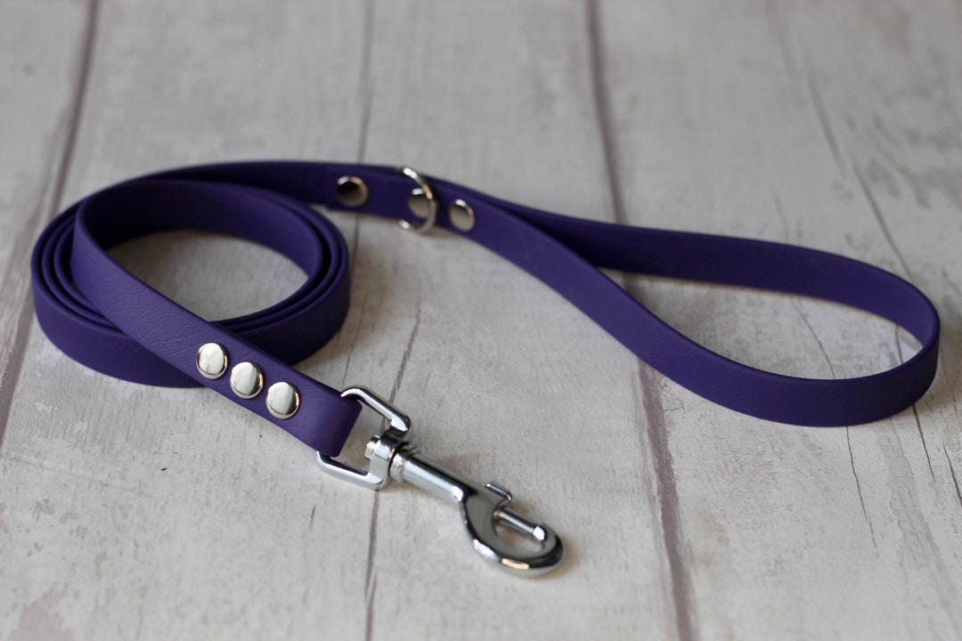 Purple Biothane Dog Lead - Etsy UK