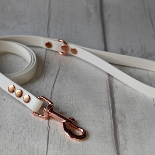 White Biothane Dog Collar - Etsy