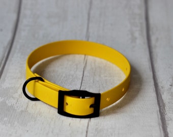 White Biothane Dog Collar - Etsy