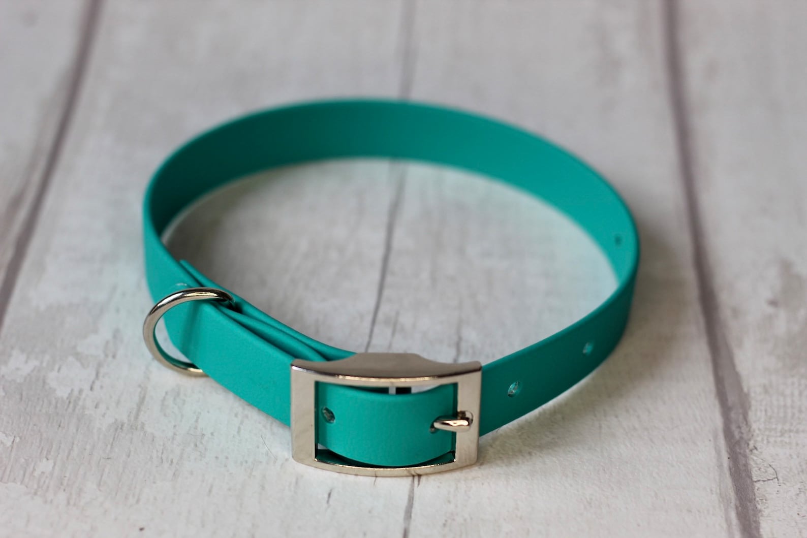 Teal Biothane Waterproof Dog Collar - Etsy UK
