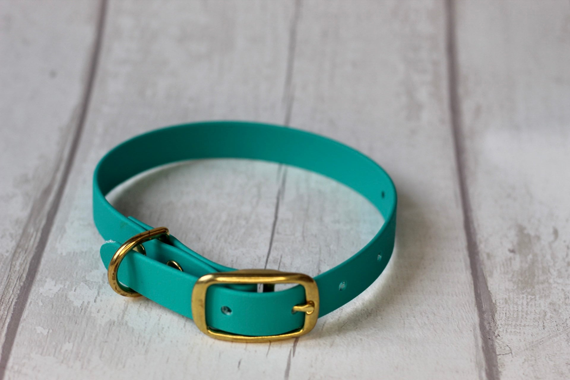 Teal Biothane Waterproof Dog Collar - Etsy UK