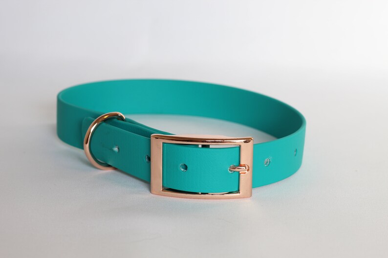 Teal Biothane Waterproof Dog Collar | Etsy