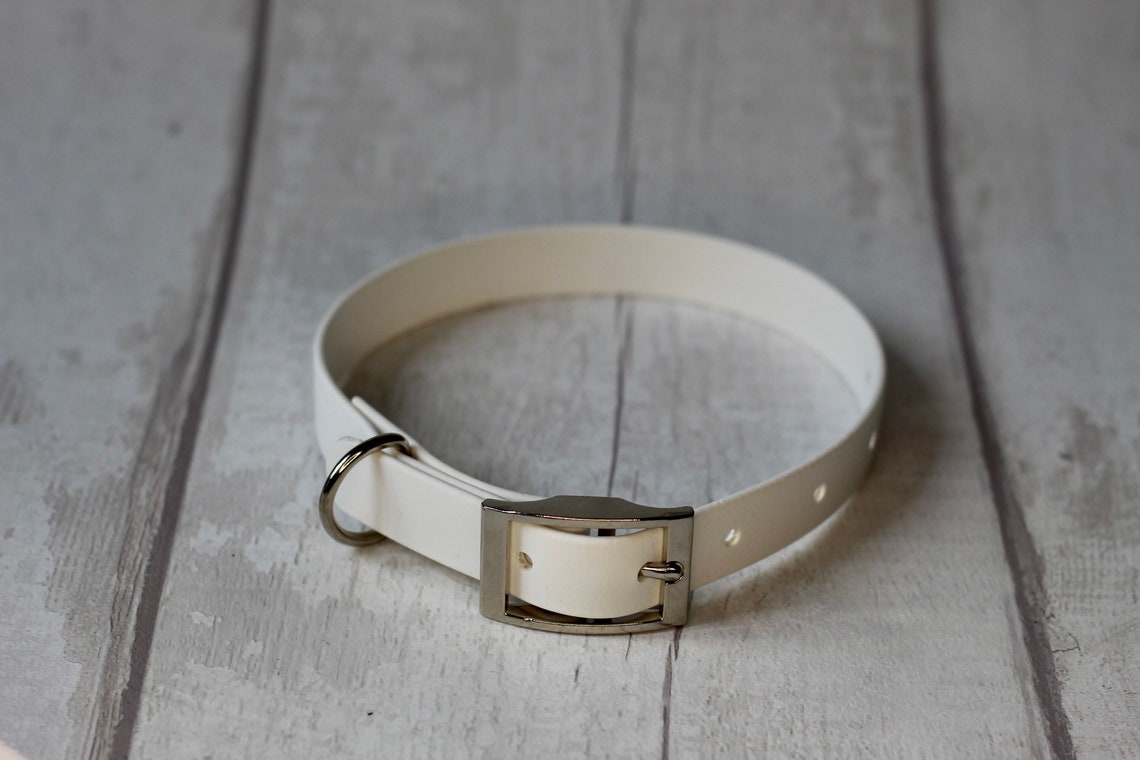 White Biothane Dog Collar - Etsy