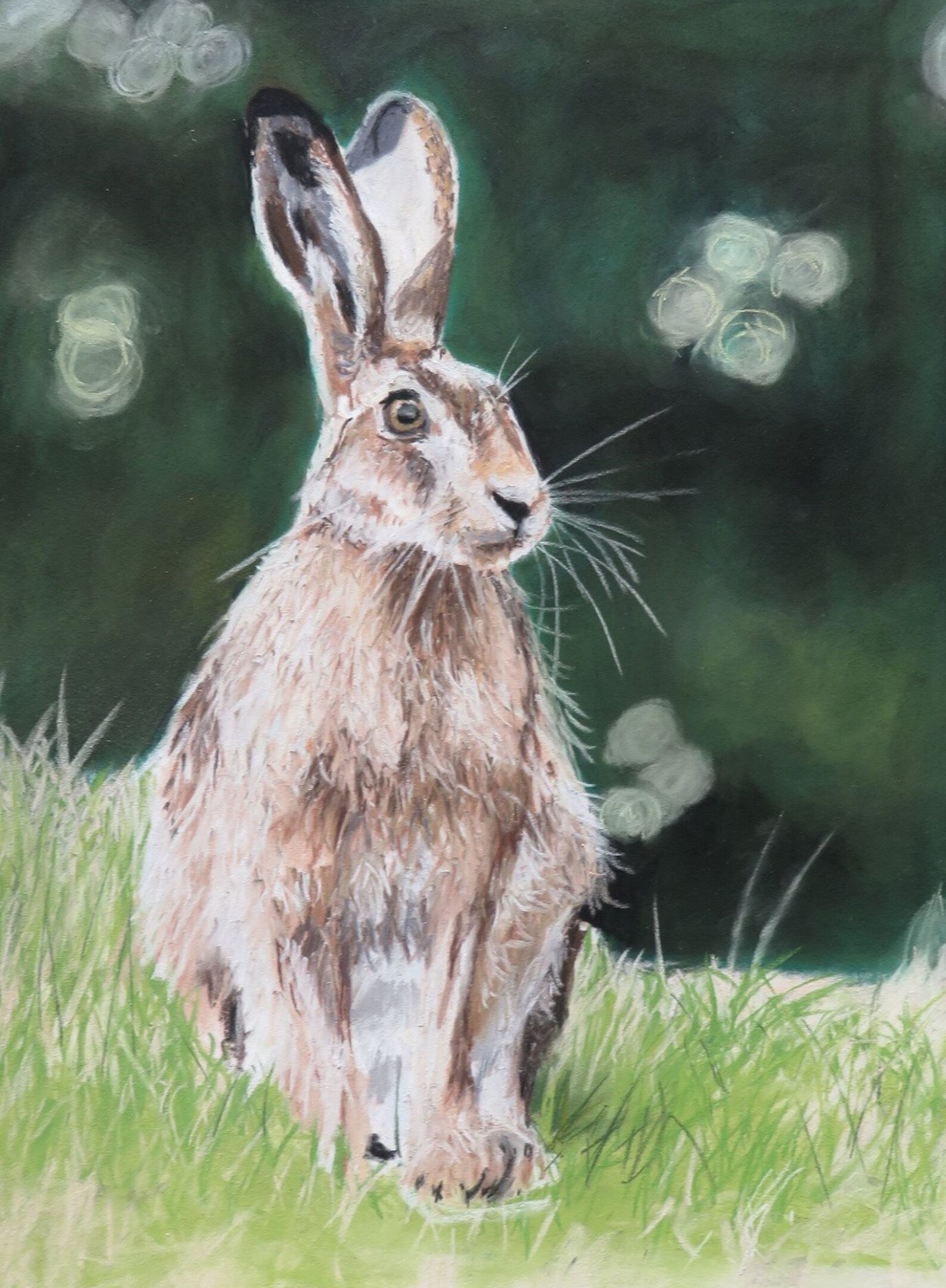 Pastel Hare Drawing - Etsy