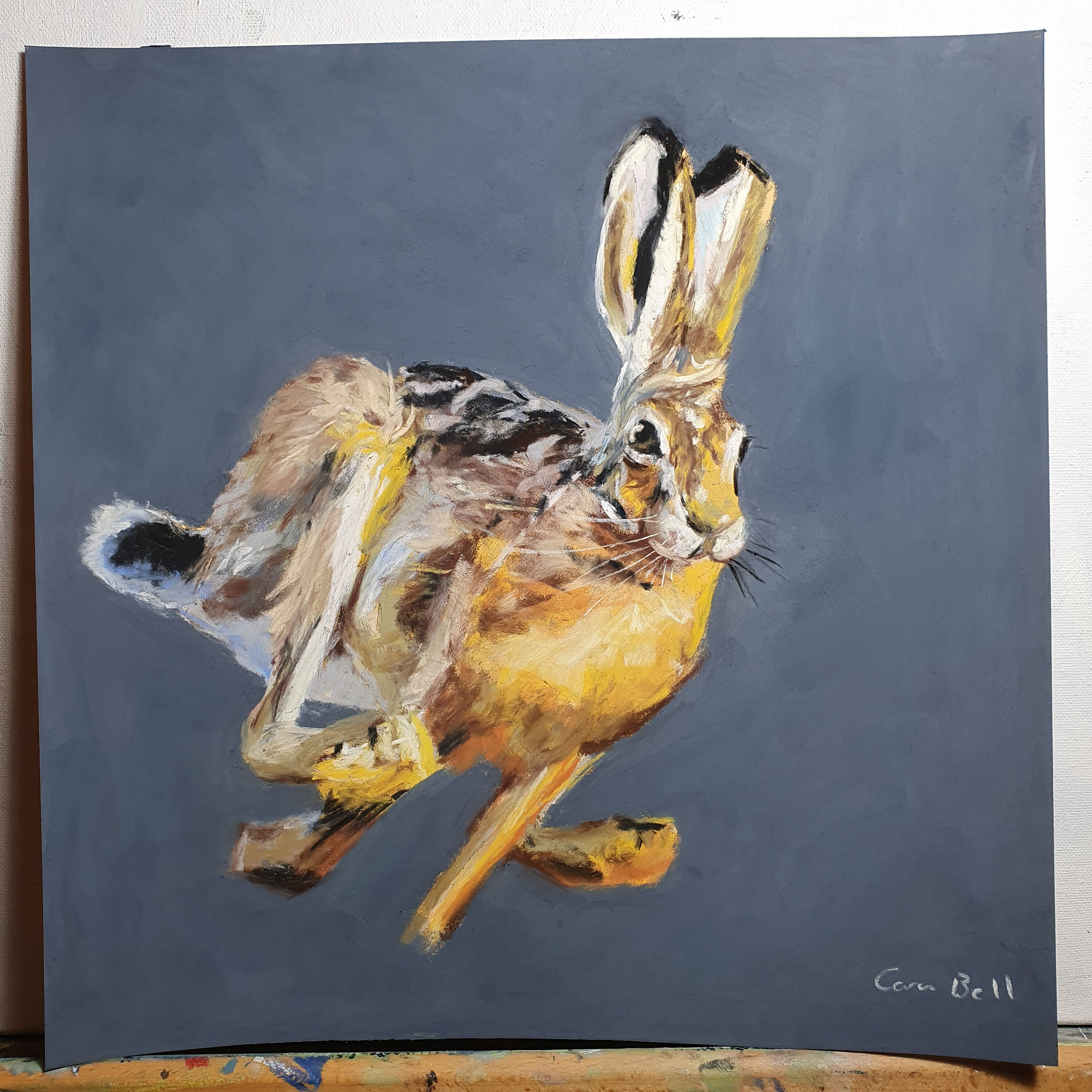 Original Pastel Drawing of Brown Hare 30x30cm - Etsy