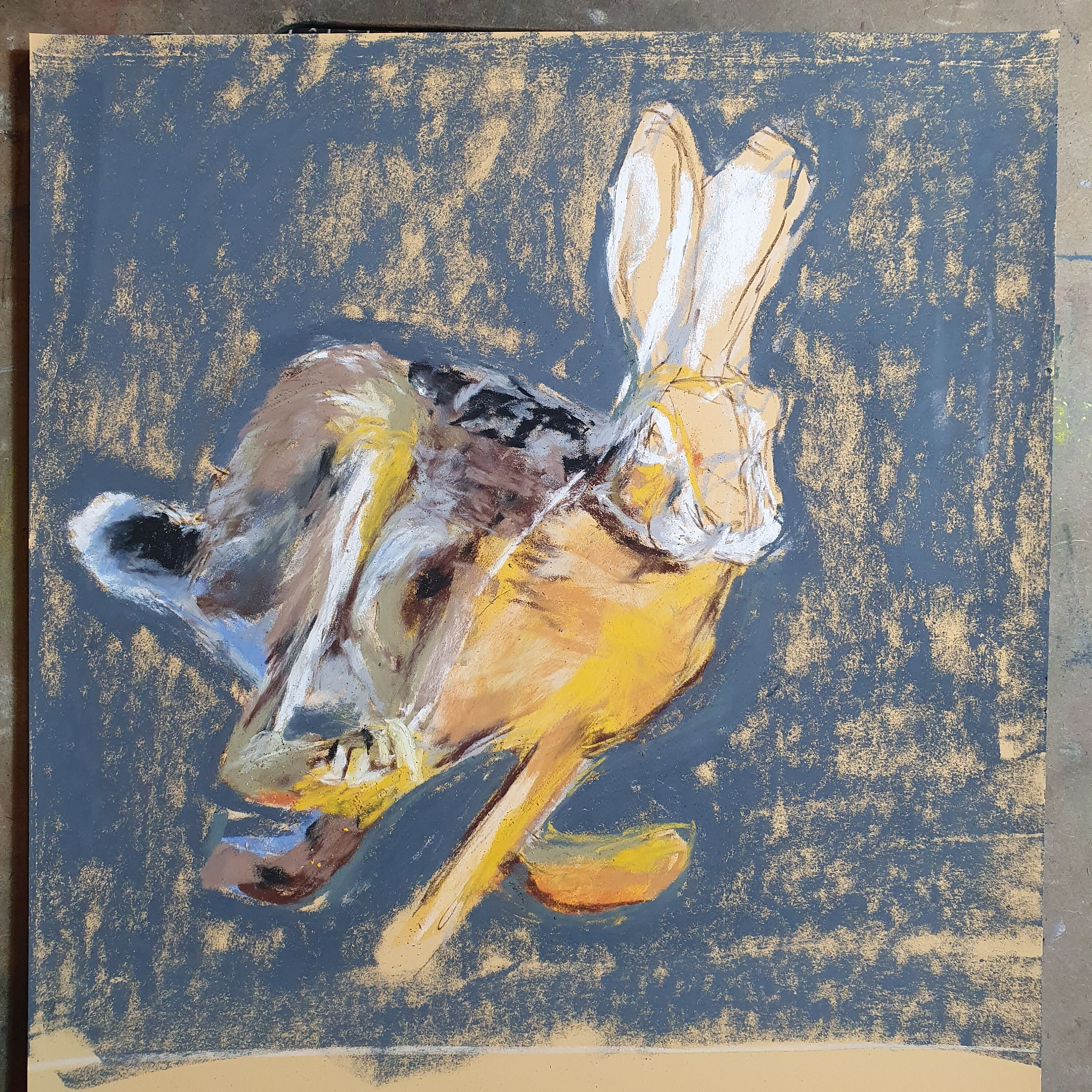 Original Pastel Drawing of Brown Hare 30x30cm - Etsy