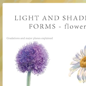 Art Tutorial - Light and Shade on Form - Flowers - | 33 Page Pdf ...