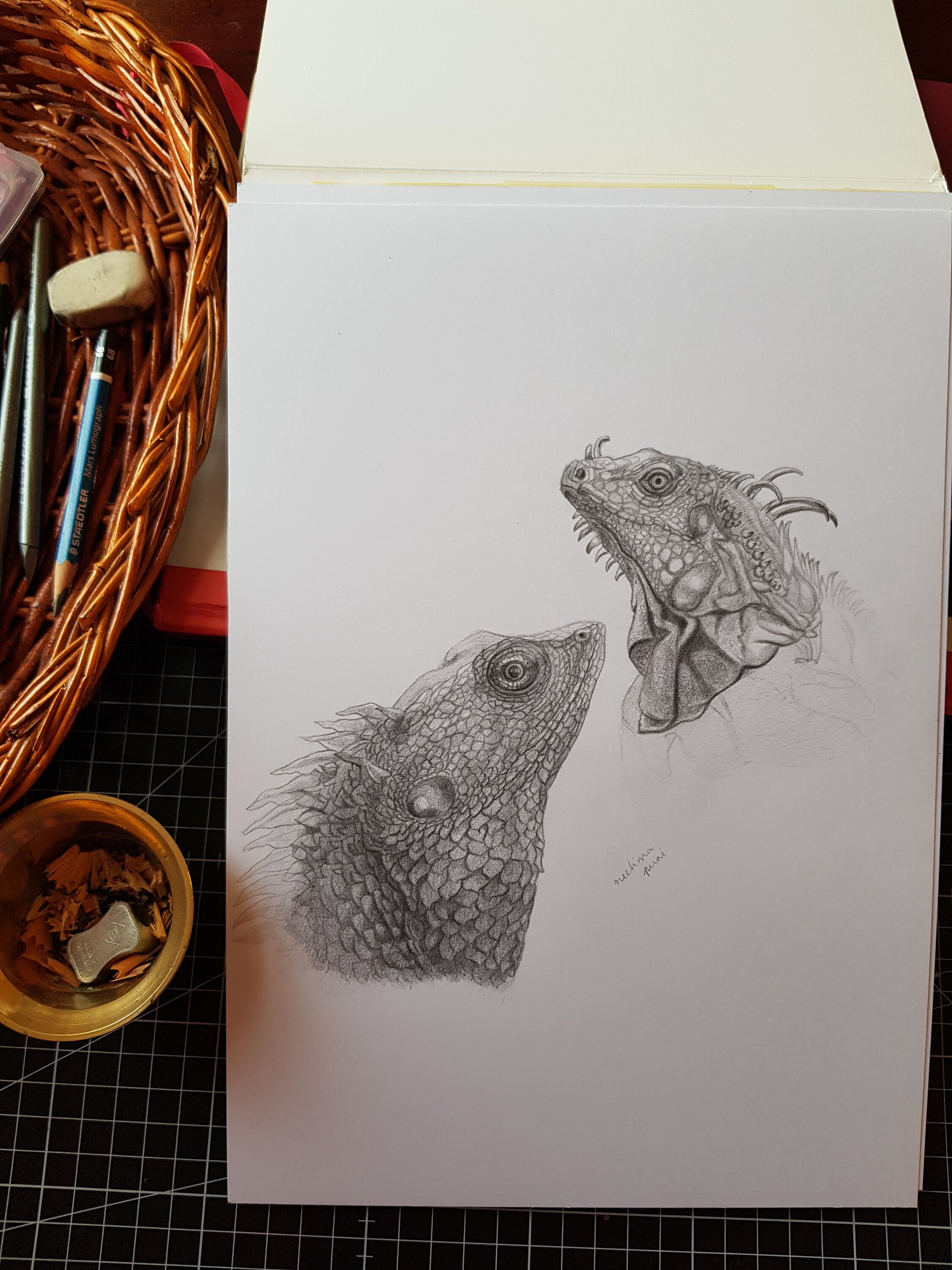 Garden Lizards - Pencil Drawing| Nature Wall Art | A4 - Etsy