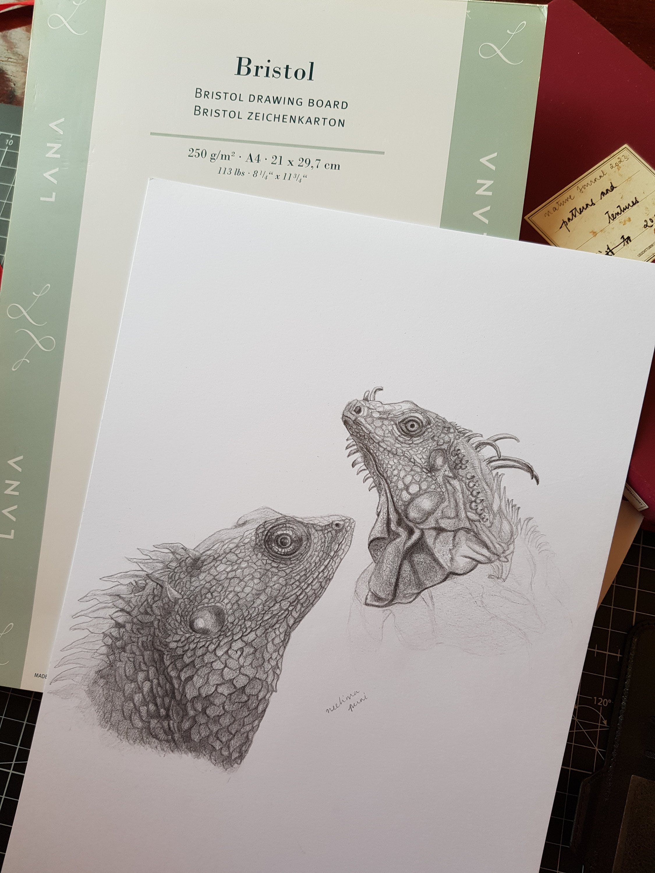 Garden Lizards - Pencil Drawing| Nature Wall Art | A4 - Etsy