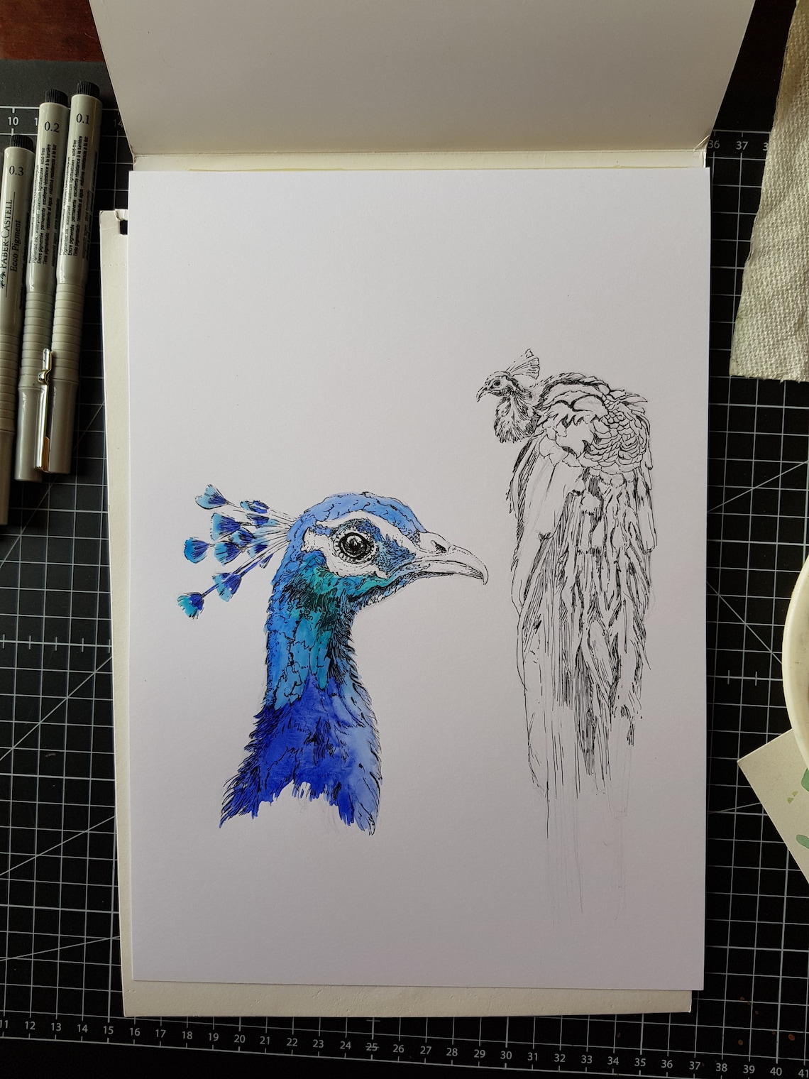 Peacocks - Pen and Wash Drawing| Birds Wall Art | A4 - Etsy