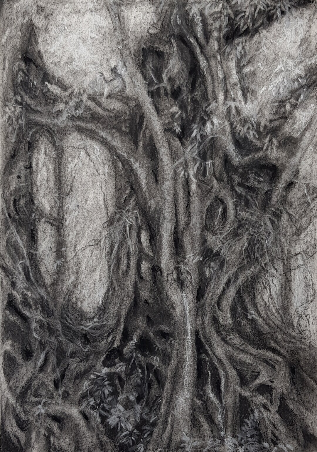 Mystical Tree - Charcoal Drawing| Fantasy Wall Art | 9 by 12 In - Etsy