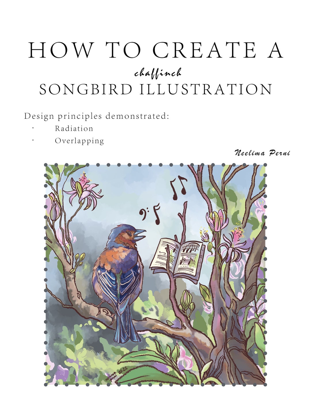 Art Tutorial - Create a Song Bird Illustration| 18 Page Pdf Document ...