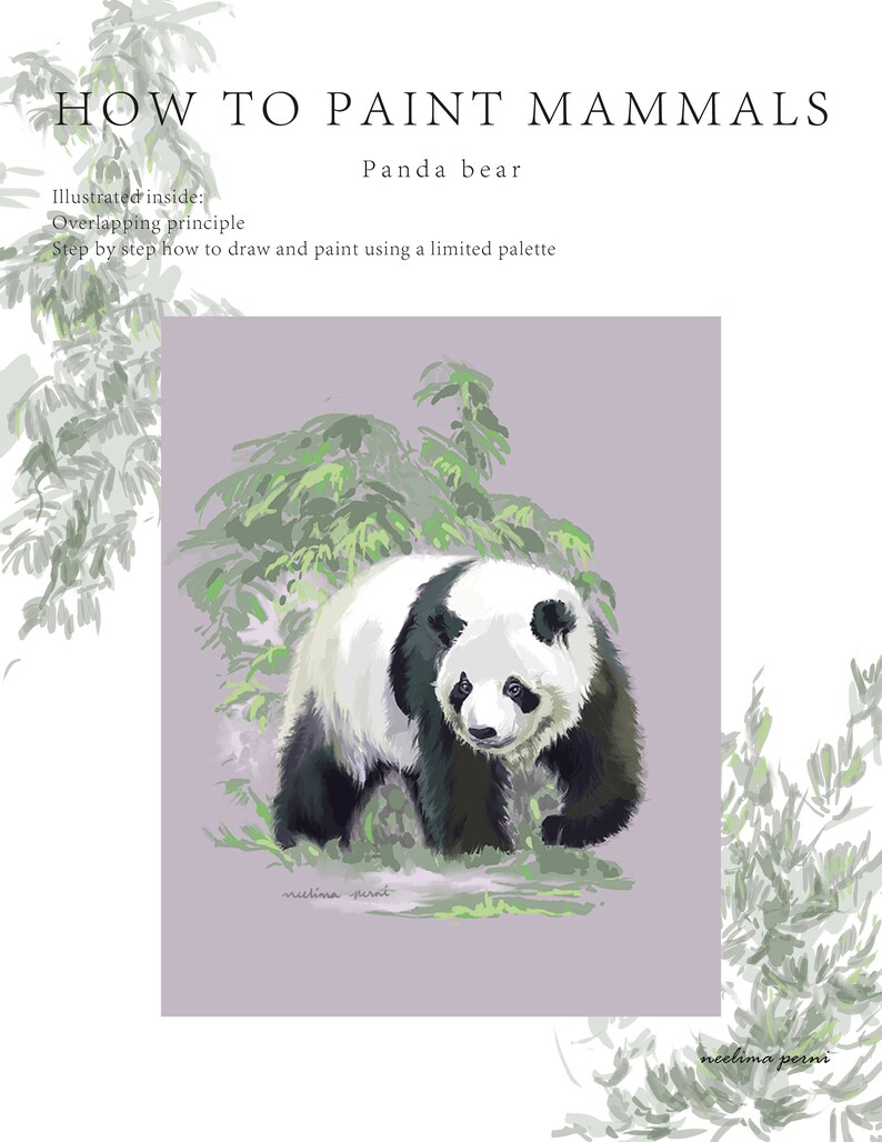 Art Tutorial - Draw and Mammals - Panda Bear - | 15 Page Pdf Document ...