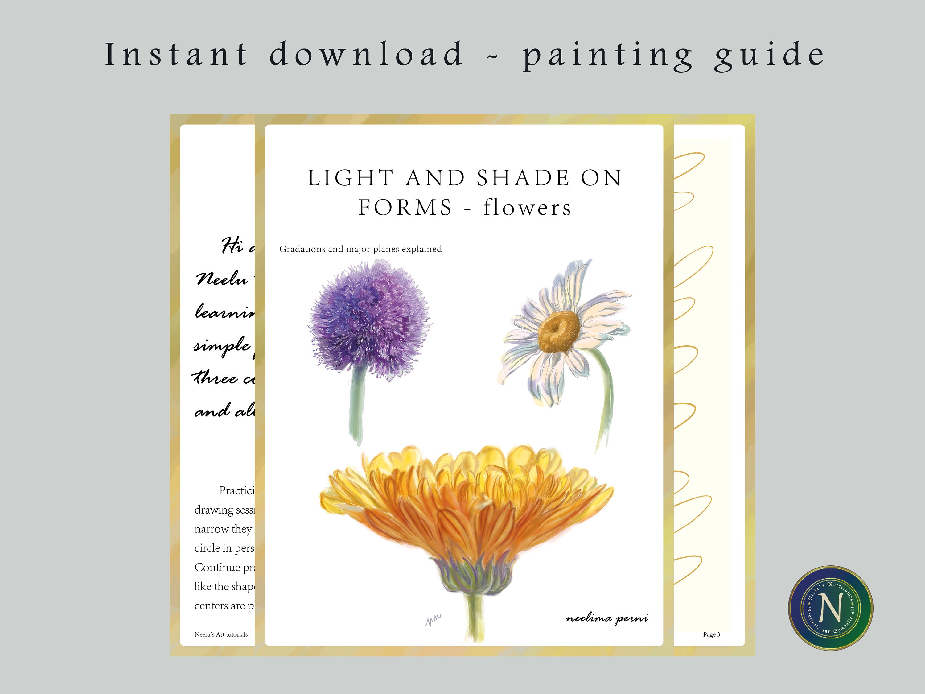 Art Tutorial - Light and Shade on Form - Flowers - | 33 Page Pdf ...