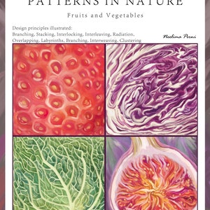 Art Tutorial - Patterns in Nature- Fruits and Vegetables| 25 Page Pdf ...