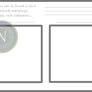 Design Cards | Design Principles | Alternation | 2 Cards Each 6" * 4 ...