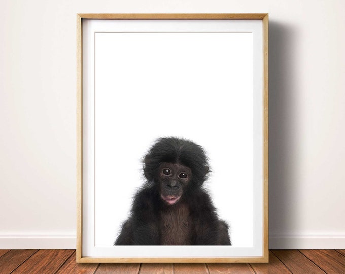 Monkey Print - Etsy