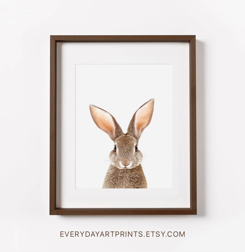 Rabbit Print, Bunny Print, Printable Art, Animal Print, Baby Rabbit ...