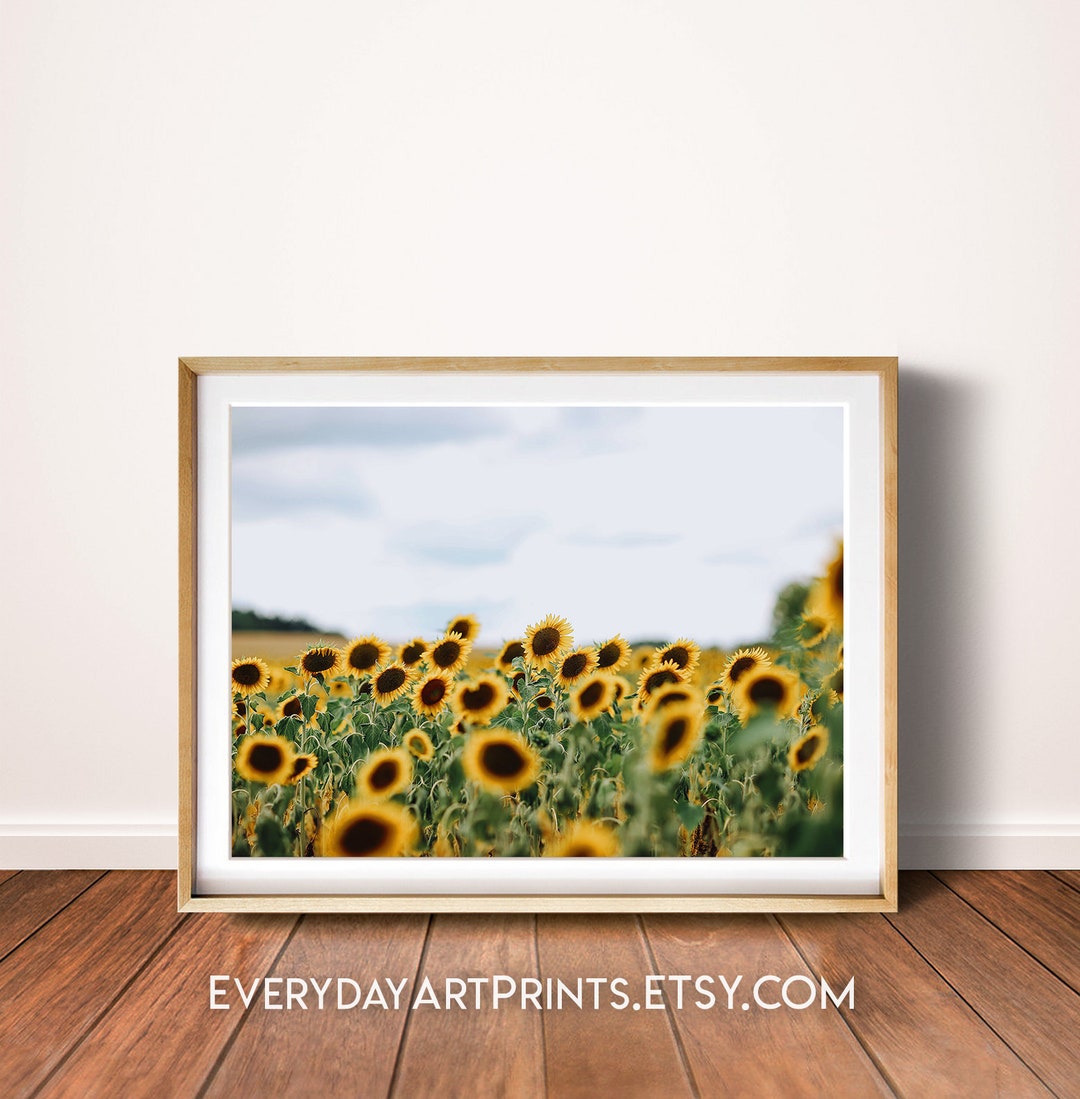 Sunflower Print, Sunflower Field Print, Summer Print, Sunflower Art ...