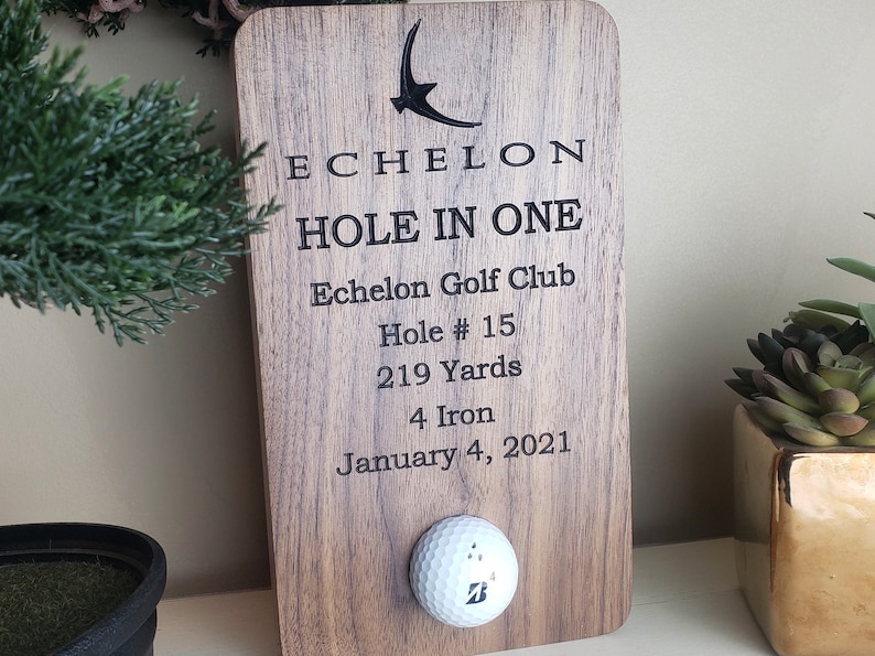 Hole in One Display Plaque - Etsy