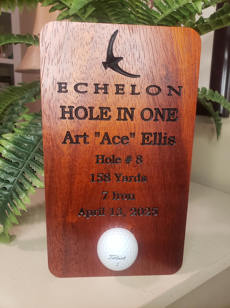 Hole in One Display Plaque - Etsy