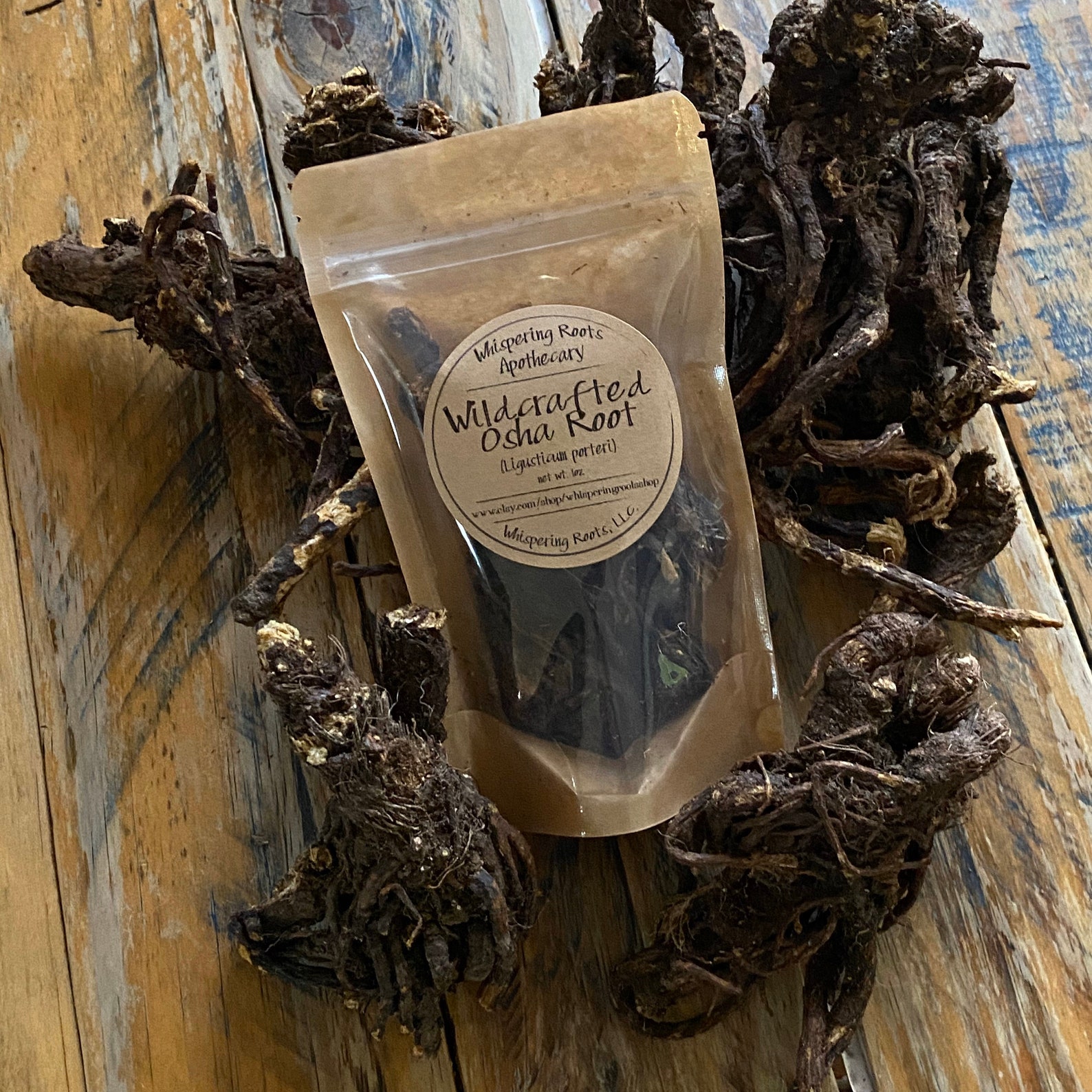 Osha Root ligusticum Porteri Sustainably Wildharvested - Etsy